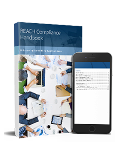 REACH Compliance Guide | ERA Environmental